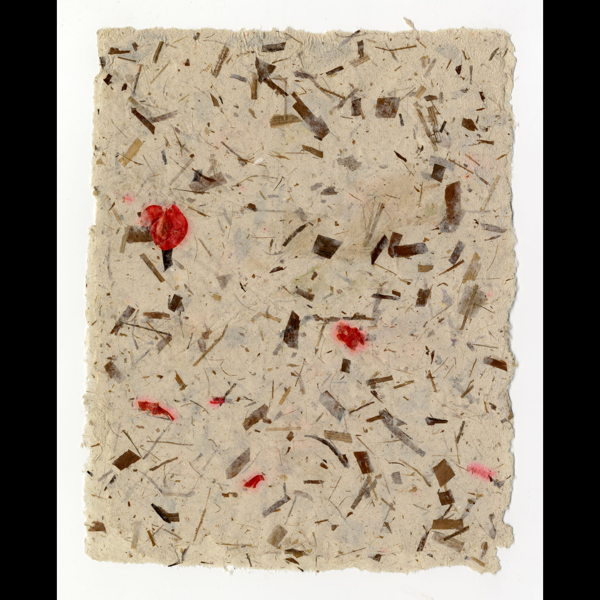 Handmade Papers – Sonja Lehman