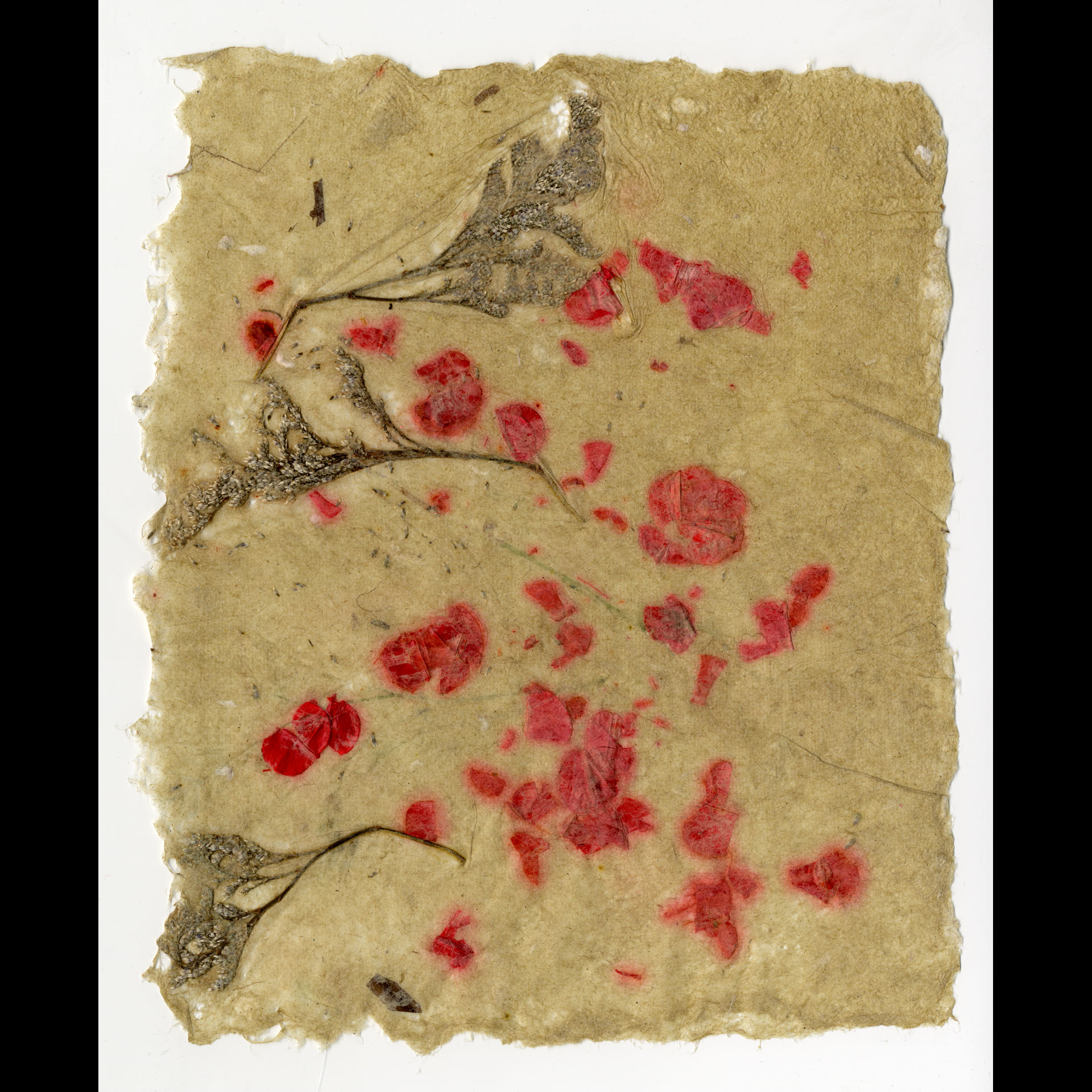 Handmade Papers – Sonja Lehman